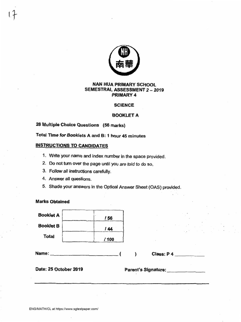 01 P4 - Science - SA2 - 2019 - Tao - Nan - Exam - Papers | PDF