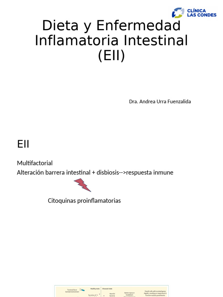 Dieta y Eii Octubre 2024 | PDF