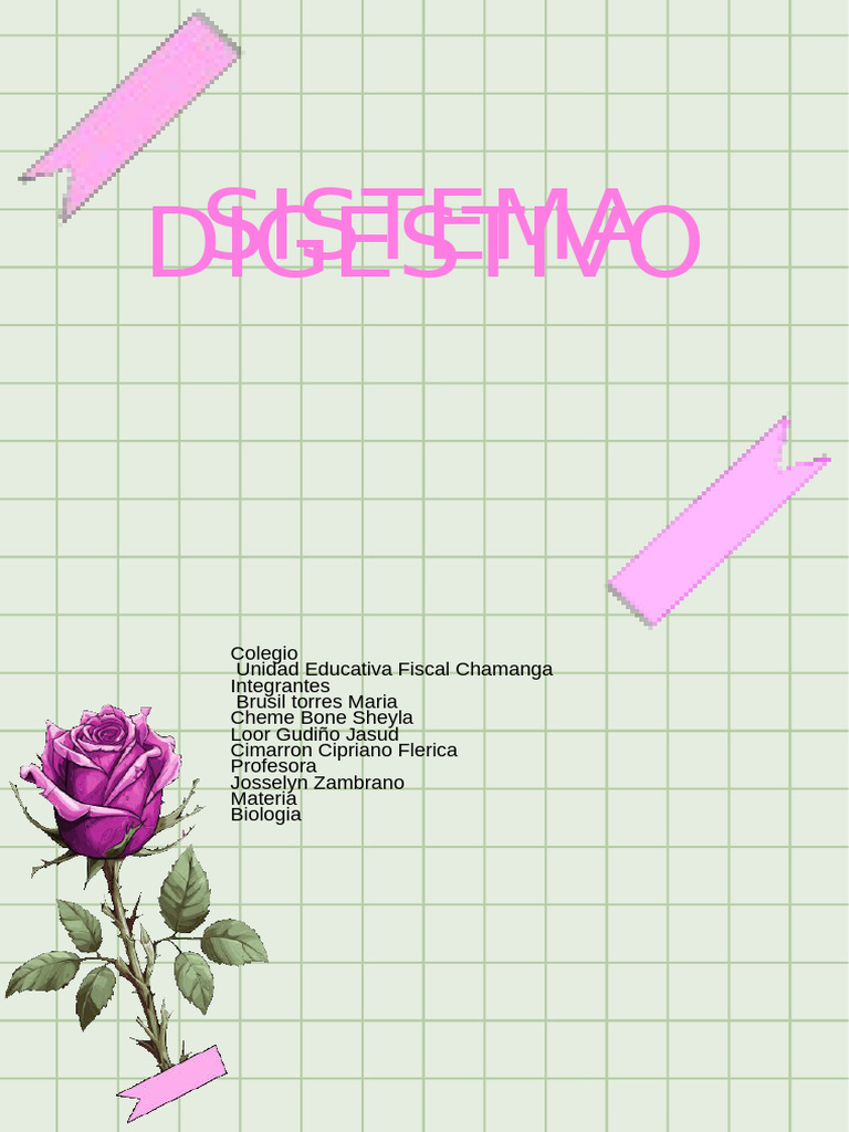Copia de Portada-Aesthetic-Word-Rosa | PDF