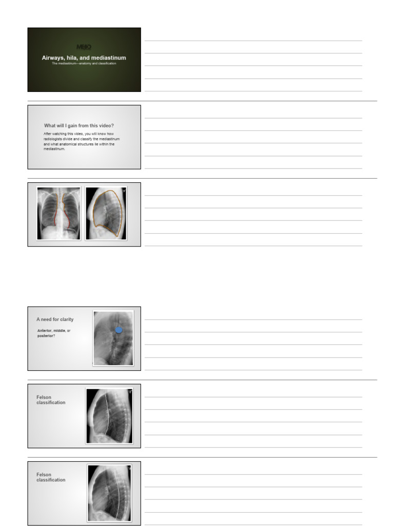 The Mediastinum - Anatomy and Classification - Fact Sheet | PDF | Aorta ...