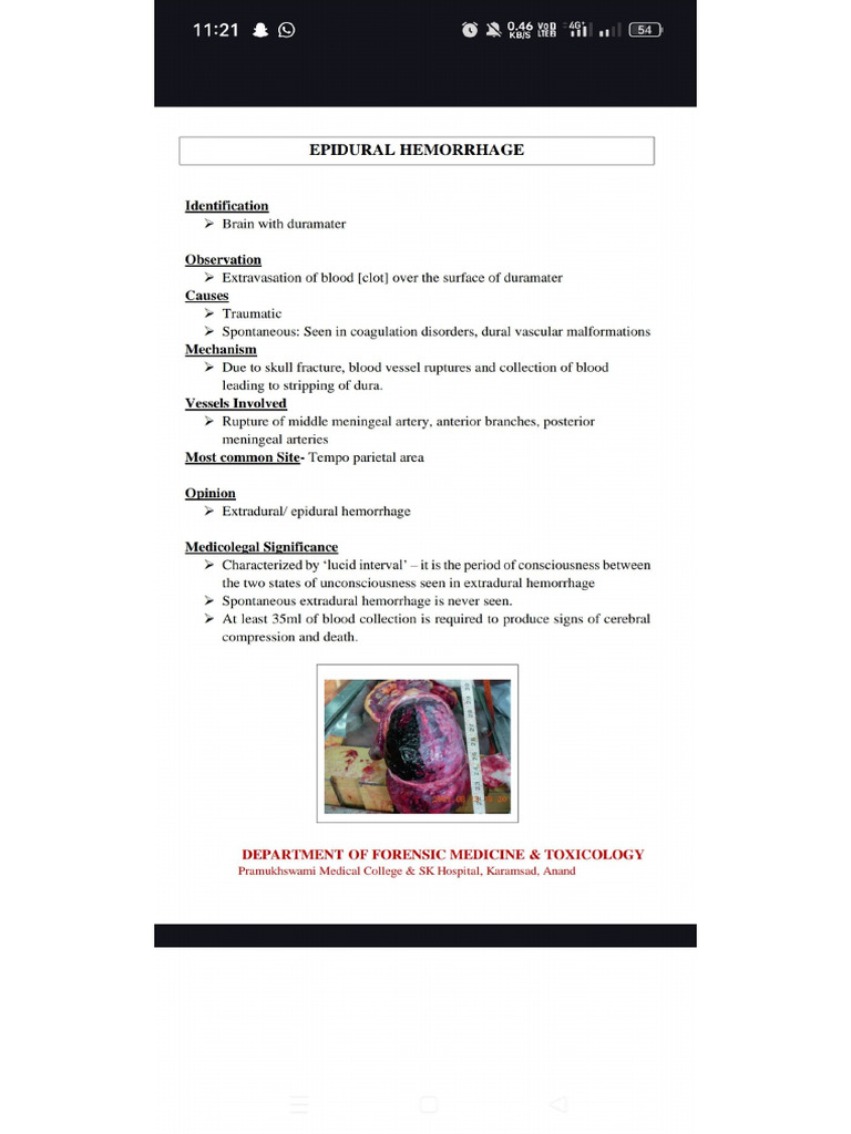 FM Injury Spotting | PDF