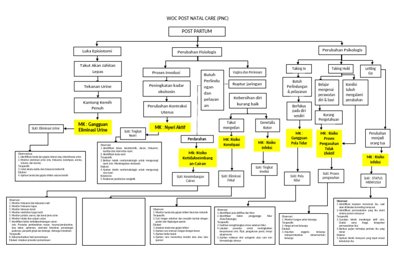 Woc Post Natal Care | PDF