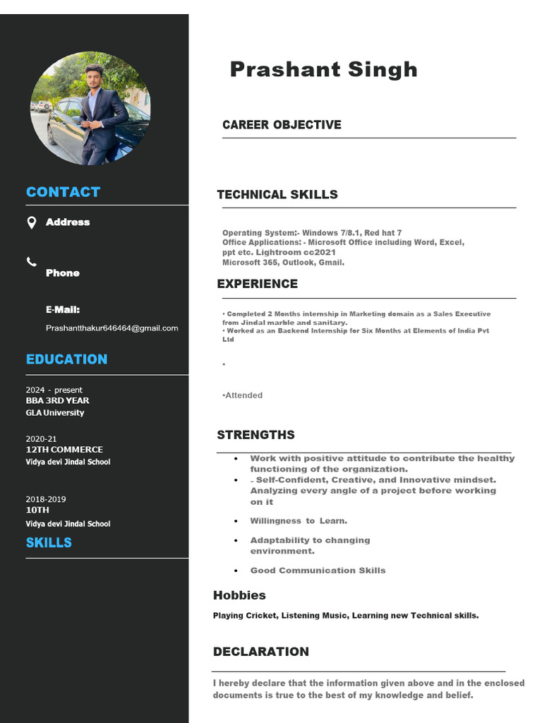 Prashant Updated | PDF | Software | Computing