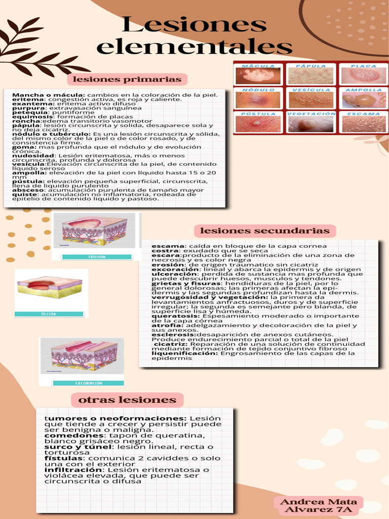 Lesiones Elementales | PDF | Piel | Epidermis