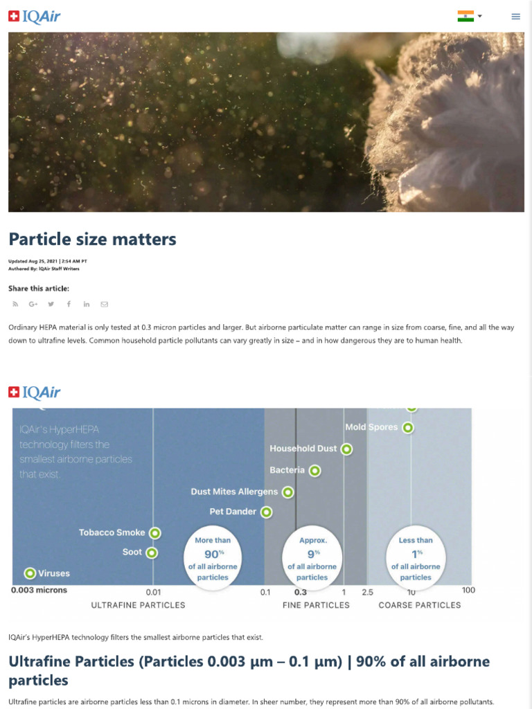 Particle Size Matters | PDF