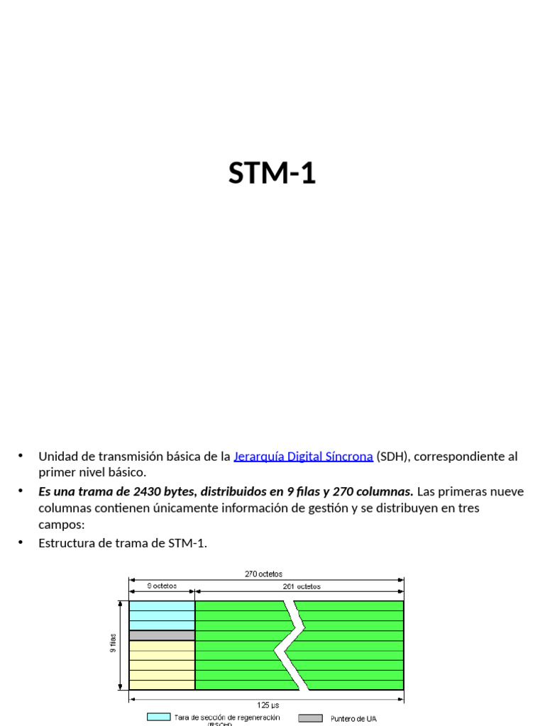 STM-1 | PDF