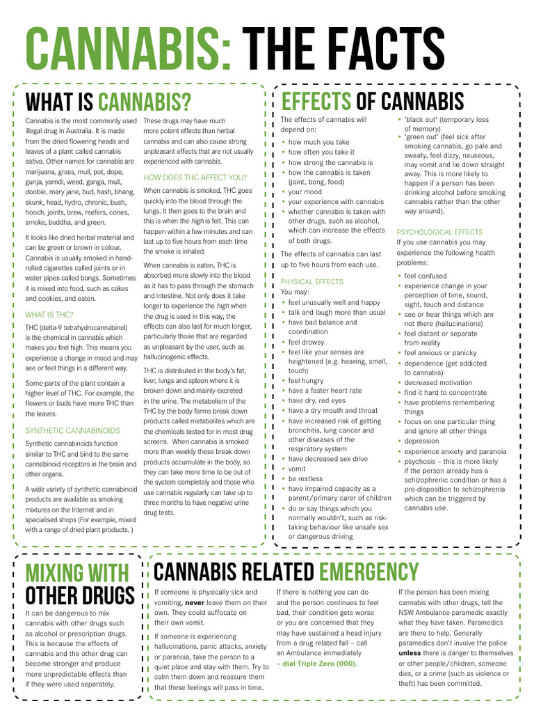 Cannabis A4 Leaflet Update | PDF | Cannabis (Drug) | Tetrahydrocannabinol