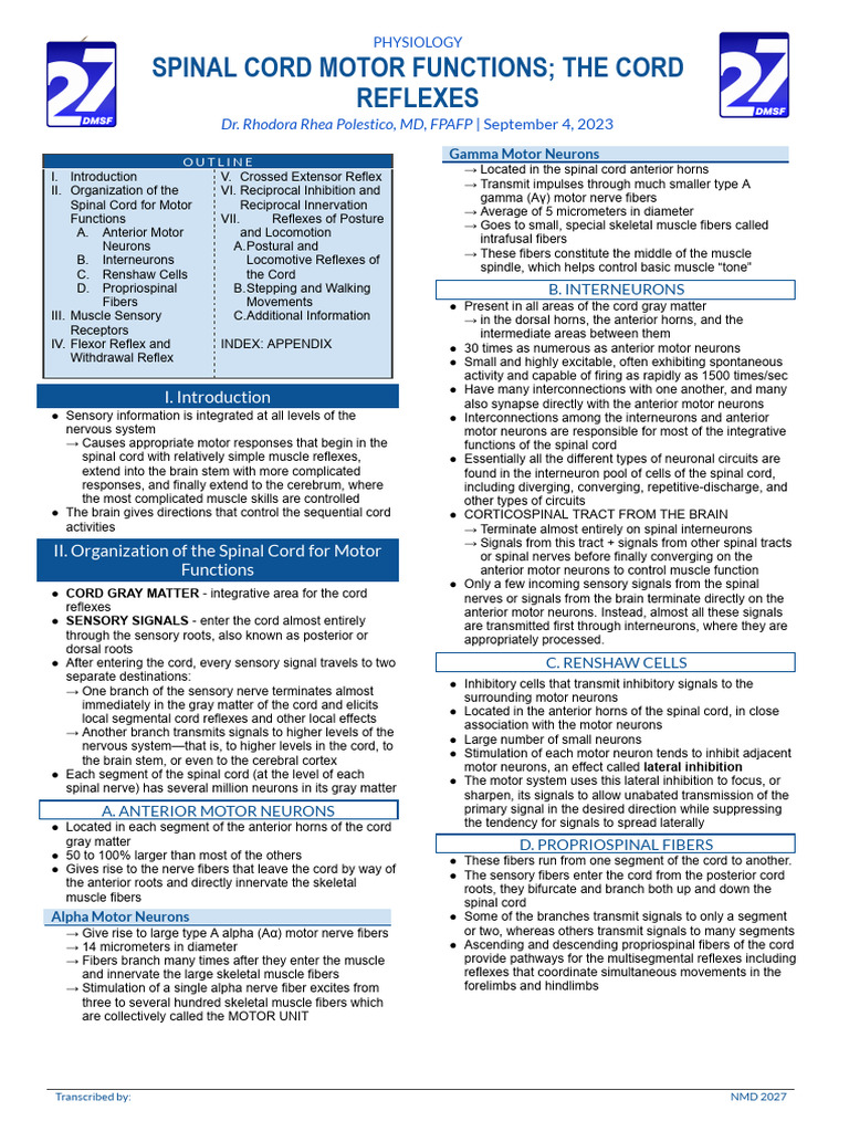 PHYSIO - P8 - Spinal Cord Motor Functions - The Cord Reflexes | PDF ...