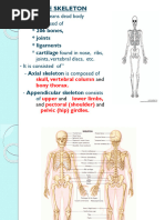 Frog Skeletal System Overview | PDF | Vertebra | Vertebral Column