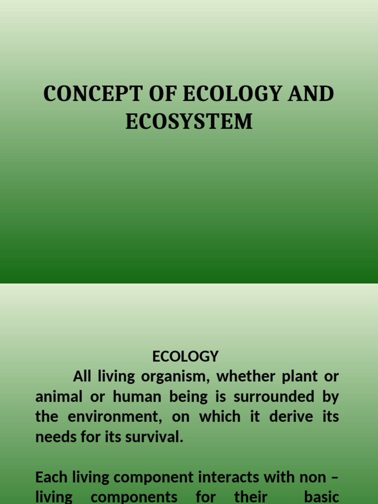 CONCEPT OF ECOLOGY AND ECOSYSTEM Presetation | PDF | Ecosystem | Food Web