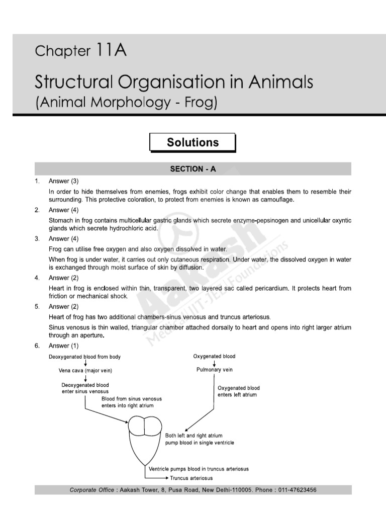 CLS MED 24 25 XIII Zoo Package 3 Level 1 Chapter 11A | PDF
