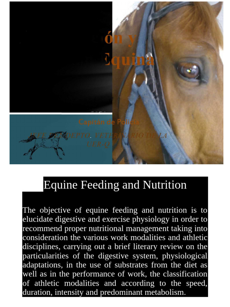 Equine Nutrition Essentials | PDF | Stomach | Dietary Fiber