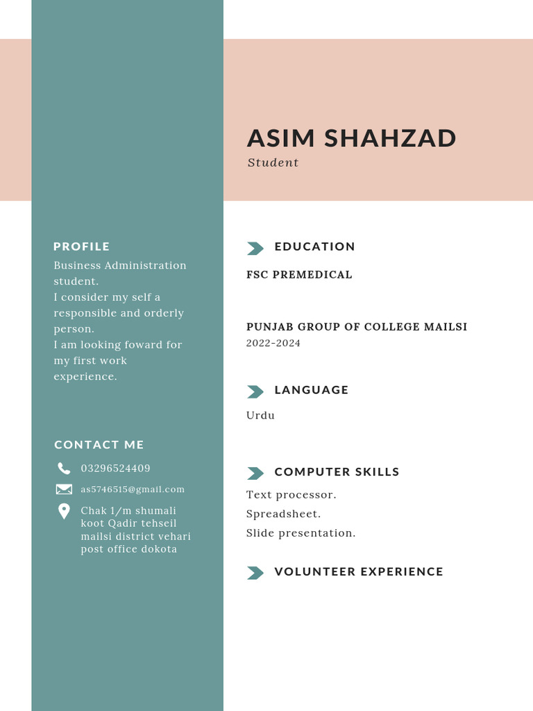 Asim Shahzad: Business Student Profile | PDF