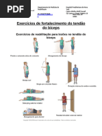 Exercícios de Codman para Reabilitação do Ombro | PDF | Dor | Medicina ...