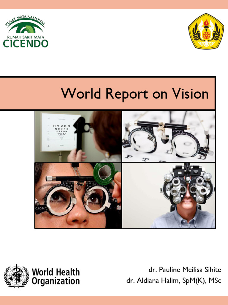World Report On Vision - Pauline Meilisa Sihite | PDF