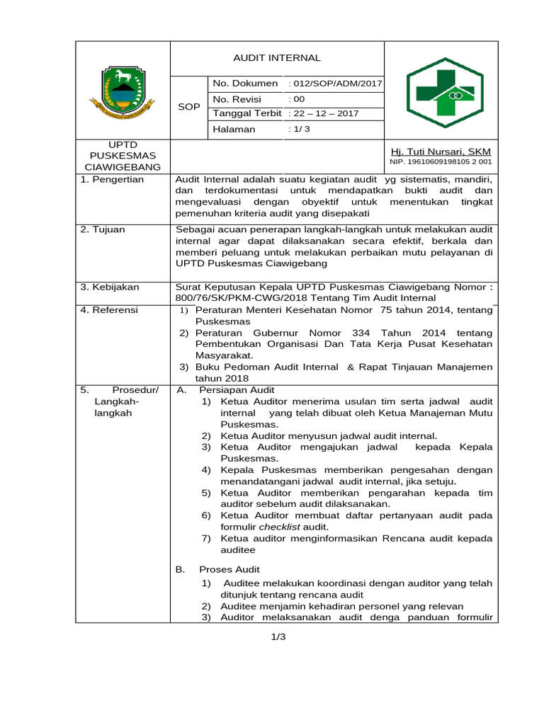 SOP Audit Internal2 | PDF