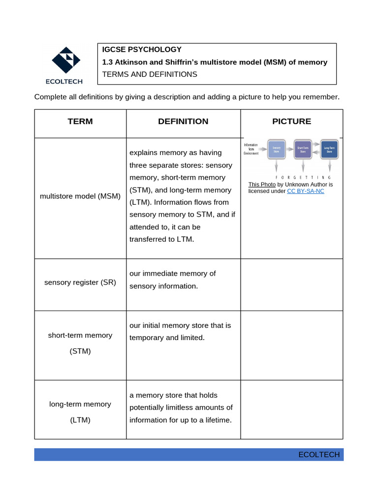 Memory Terms and Definitions Guide | PDF | Long Term Memory | Memory