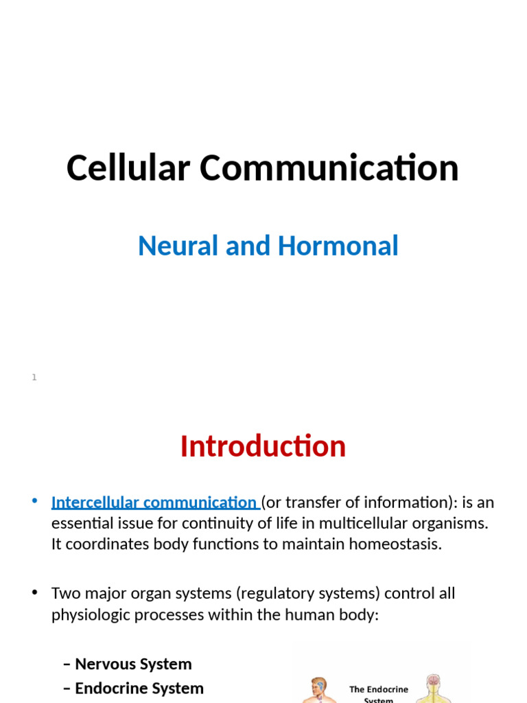 Cellular Communication, Neural and Hormonal, Types of Cells in Nervous ...