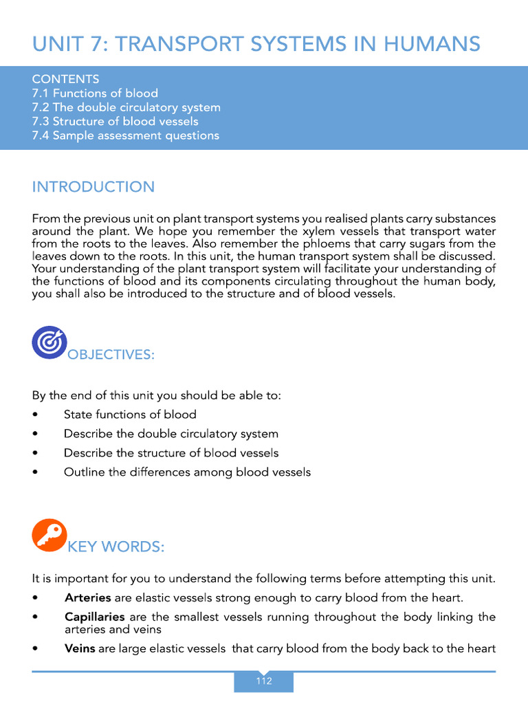 Transport in Humans | PDF