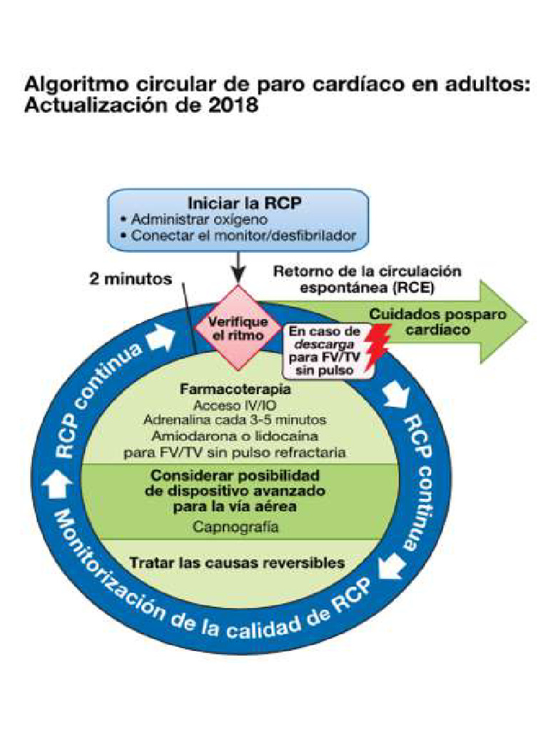 Algoritmos ACLS 2018 RCP - Taquicardia - Bradicardia | PDF