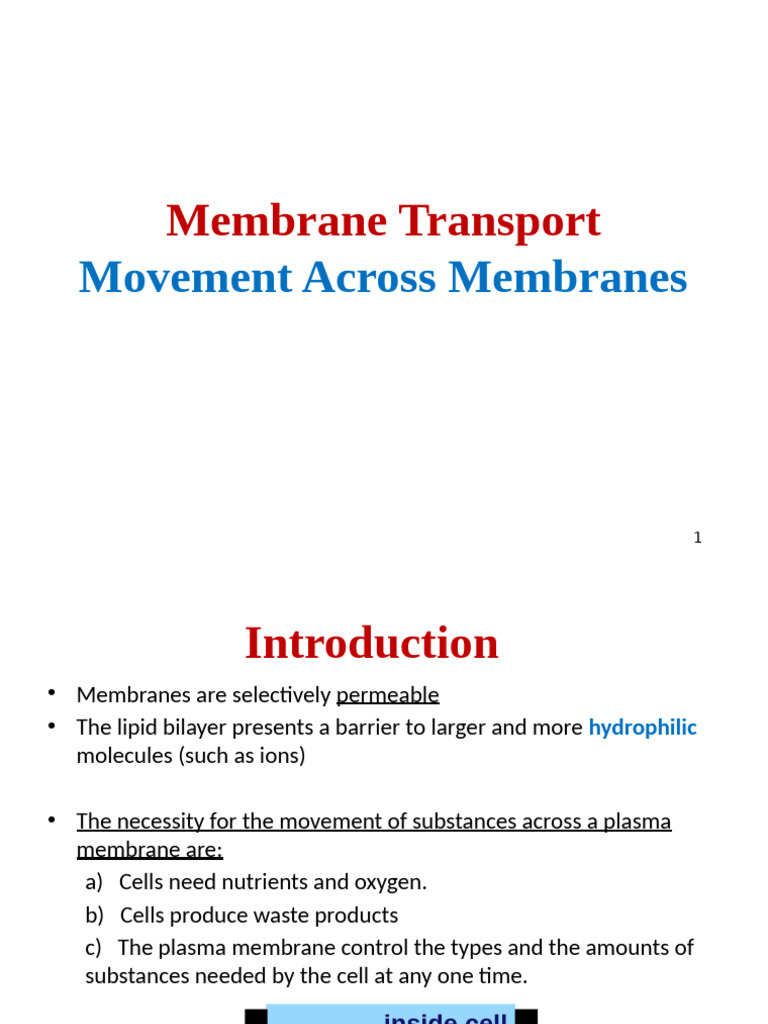 Membrane Transport - Modified 2 | PDF | Cell Membrane | Ion Channel