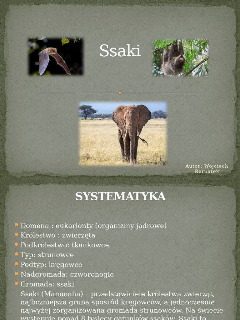 Ssaki | PDF
