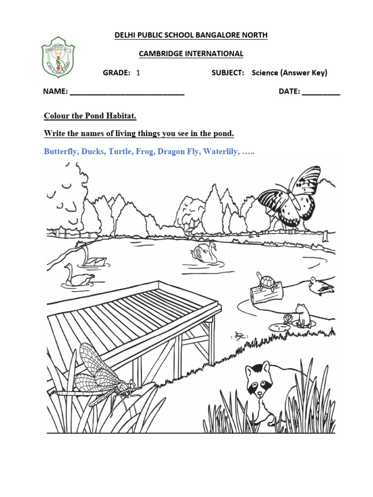 Gr1 Sci 1 Ans Key | PDF