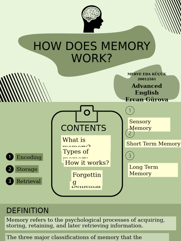 HOW DOES MEMORY WORK - Merve Eda Küçük | PDF | Memory | Dementia HOW DOES MEMORY WORK - Merve Eda Küçük | PDF | Memory | Dementia
