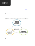 ISCC Audit Guidance V1.0 | PDF | Audit | Risk Assessment