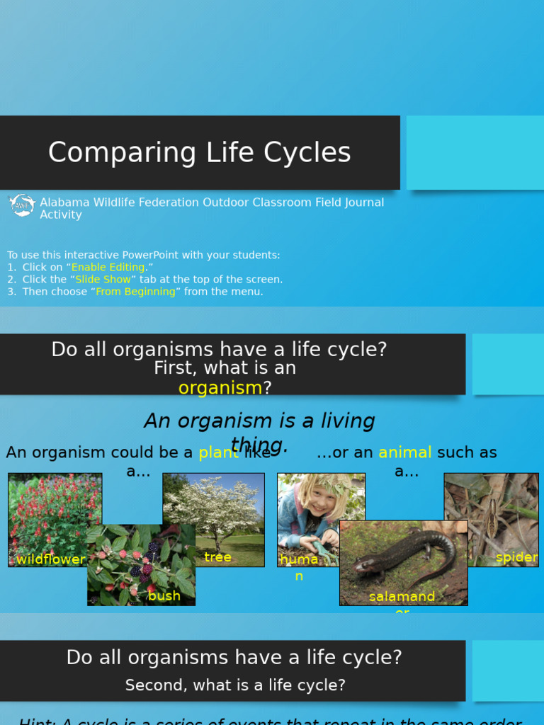 OC Field Journal-Comparing Life Cycles QA PPT | PDF | Frog | Zoology
