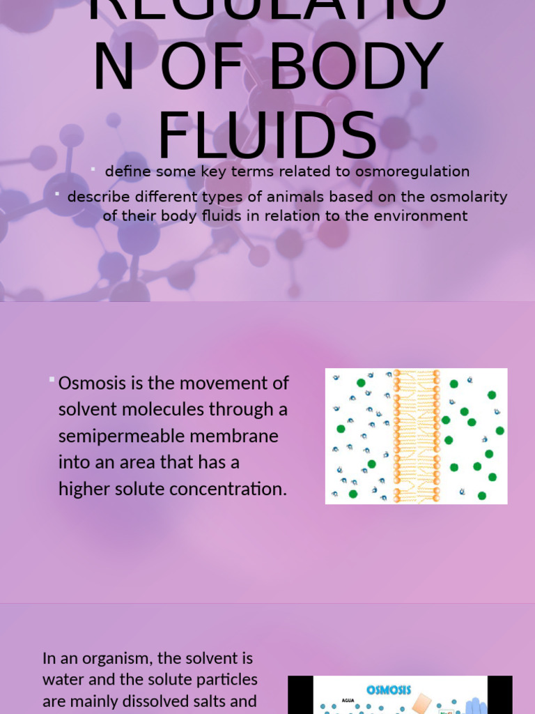 Understanding Osmoregulation in Organisms | PDF | Cell Biology | Biology