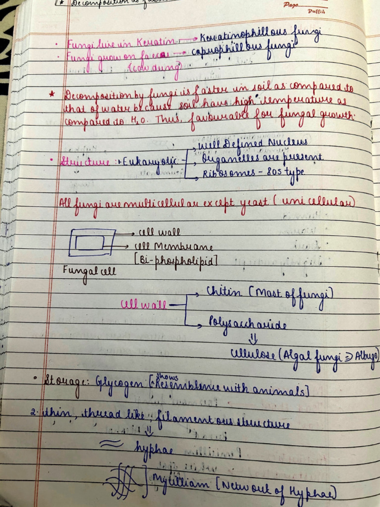 Biological Classification Pt-2 | PDF
