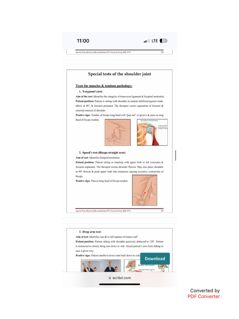 PDF-Converter-13 | PDF