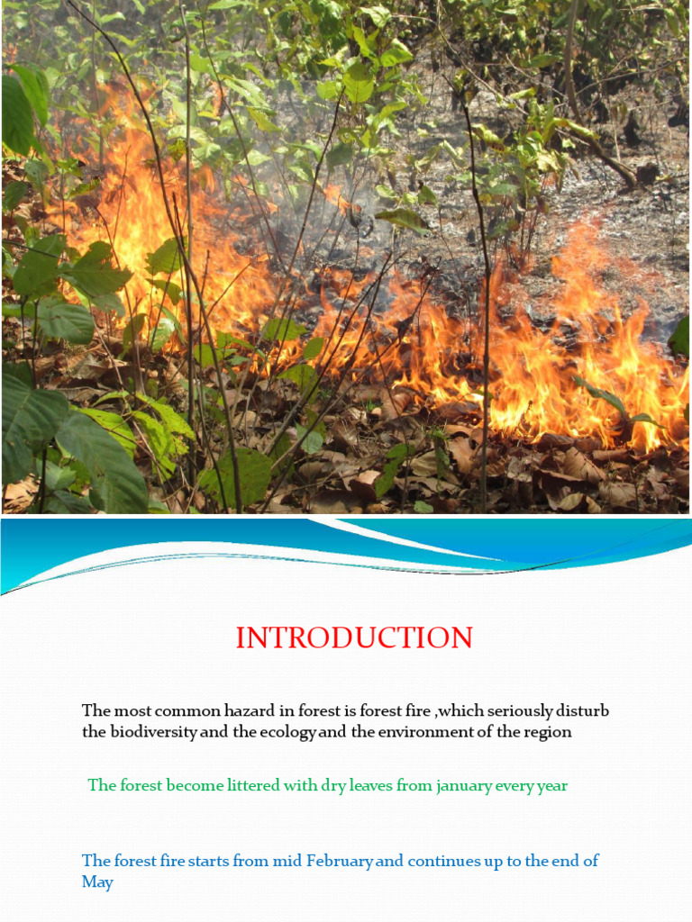 Forest Fire Prevention and Legal Measures | PDF | Wildfire | Fires