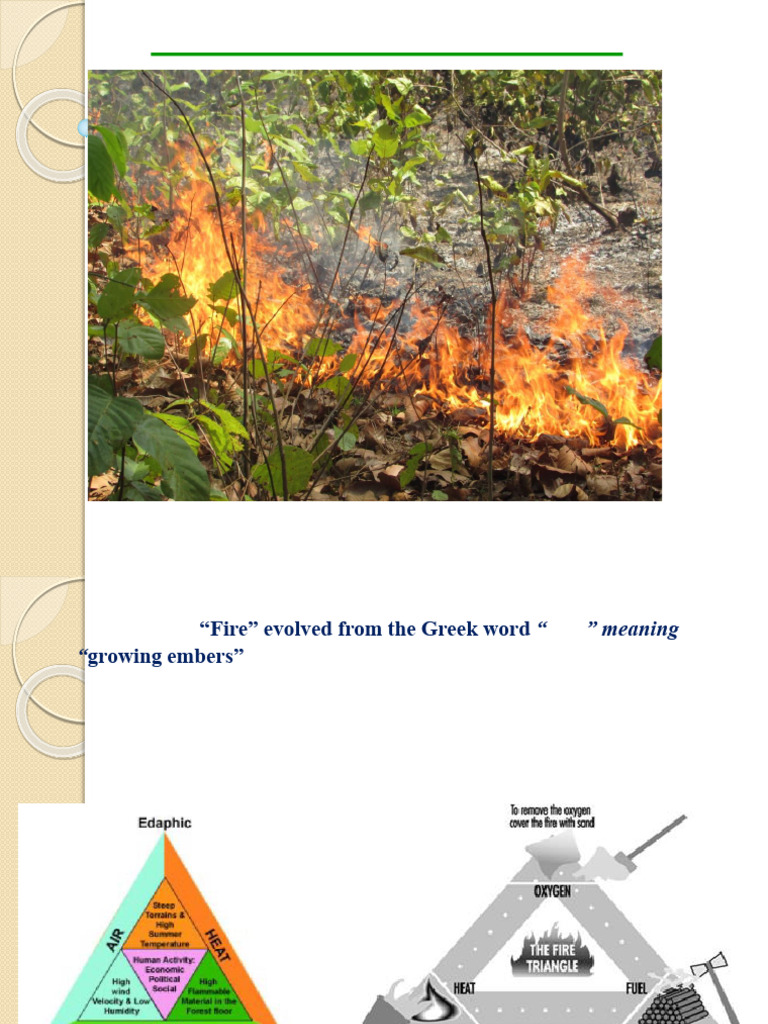 02-Adverse Influence - Forest Fire | PDF | Fires | Wildfire
