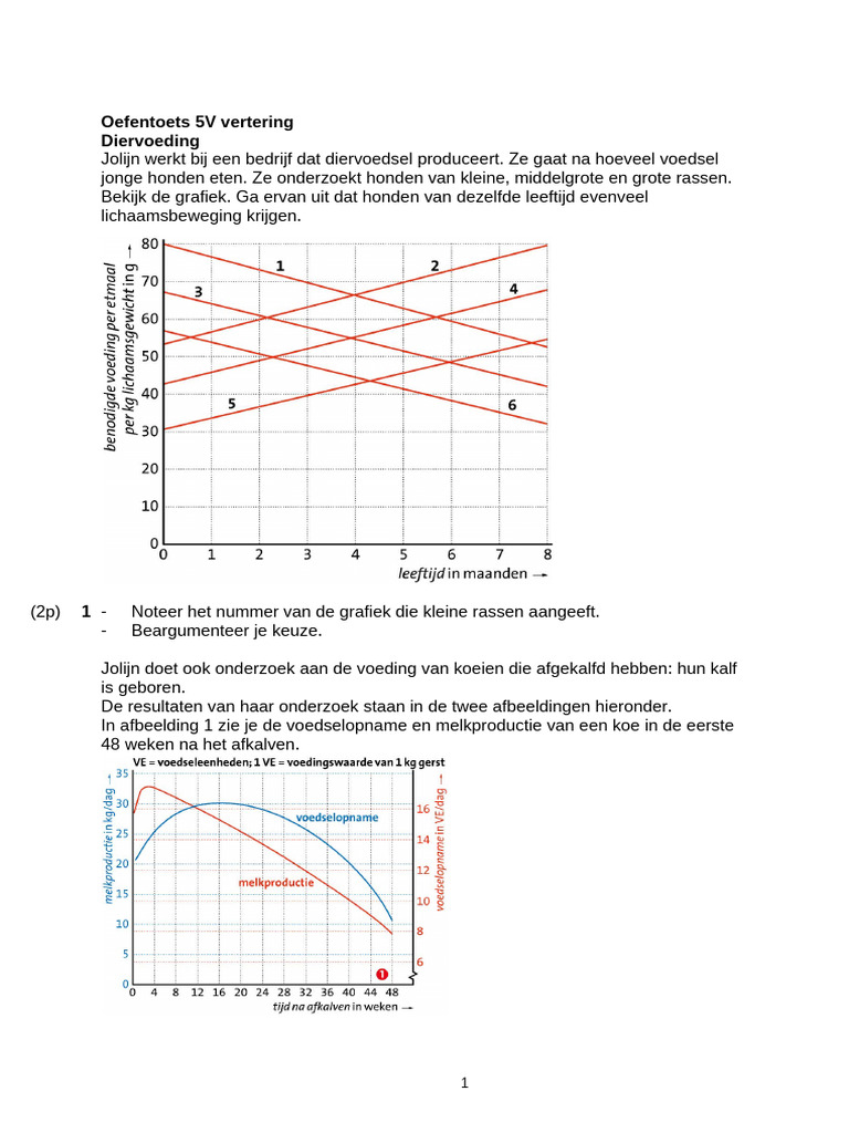 5V oefentoets vertering (extra vragen) | PDF