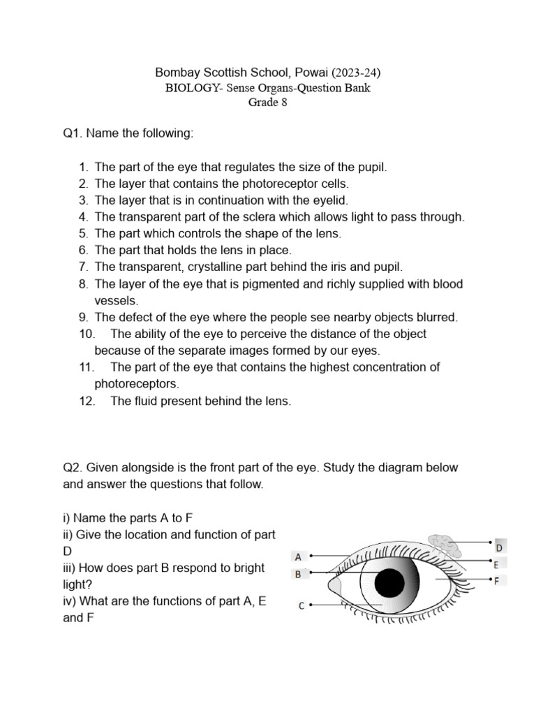 Sense Organs-Question Bank | PDF