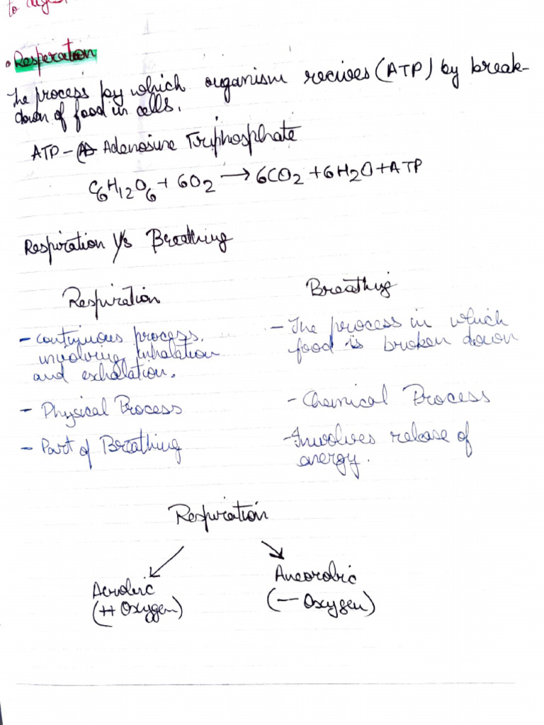 respiration notes class 10 | PDF