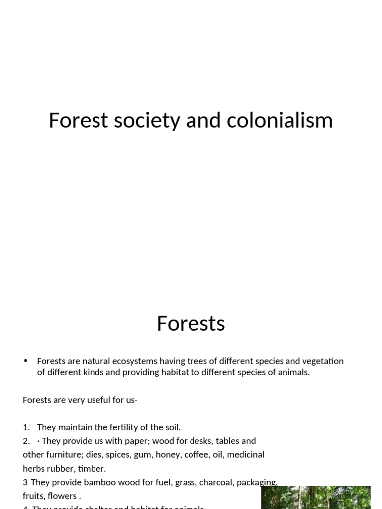 History Forest Society and Colonialism | PDF | Forests | Deforestation