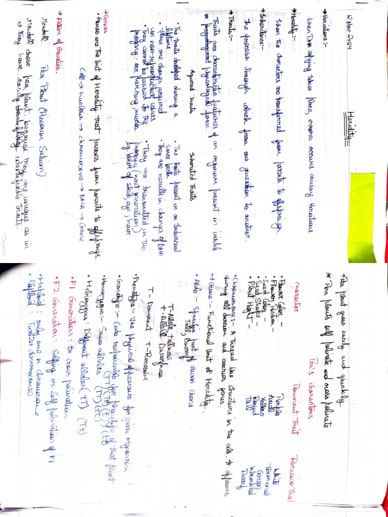 Heredity Notes | PDF