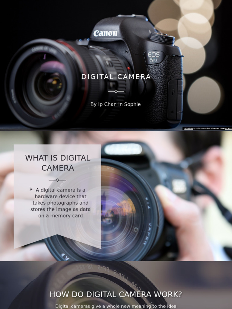 Presentation 6 | PDF