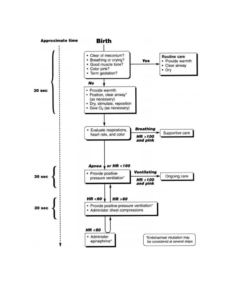 Algorithm For Neonatal Resuscitation | PDF
