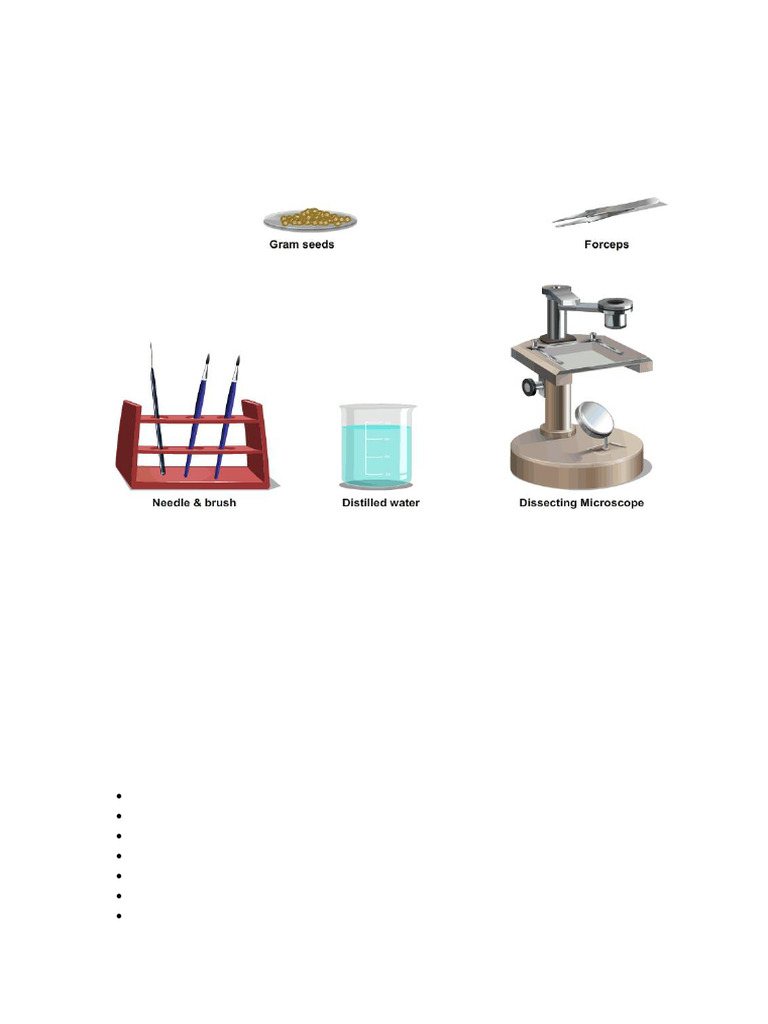 1667627617731_06_Dicot_Embryo | PDF
