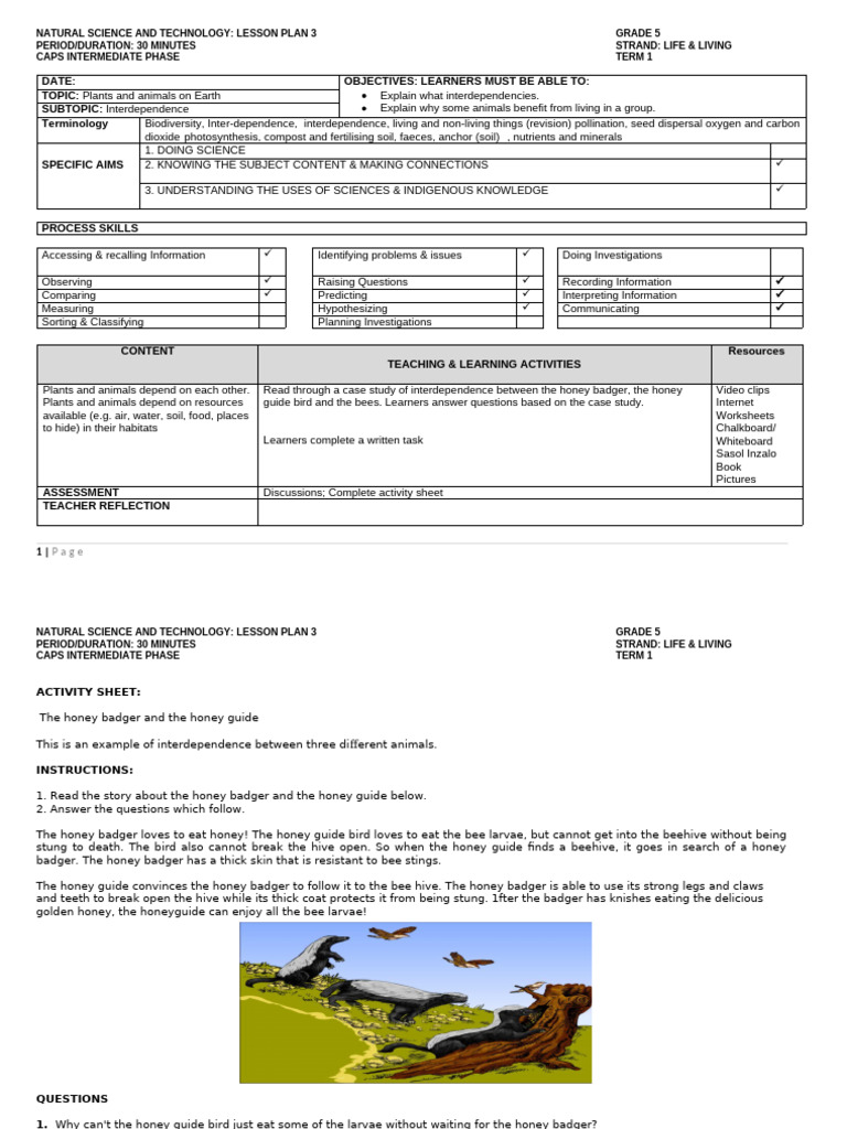 Interdependence Lesson 3 | PDF | Beehive | Honey