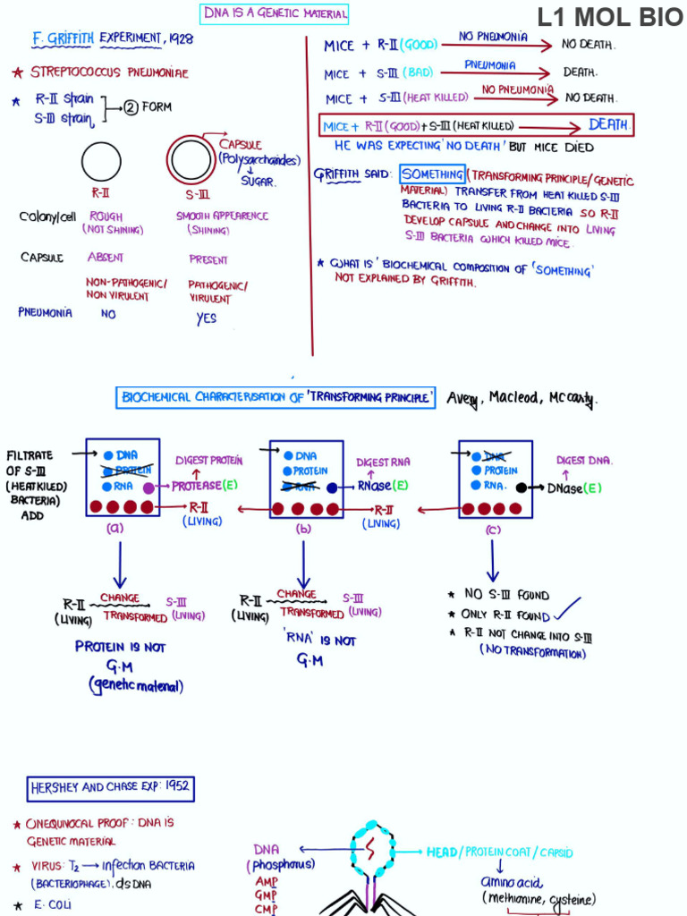 1 To 6 MOL BIO - Merged | PDF