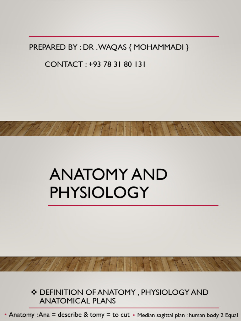 Anatomy PDF | PDF