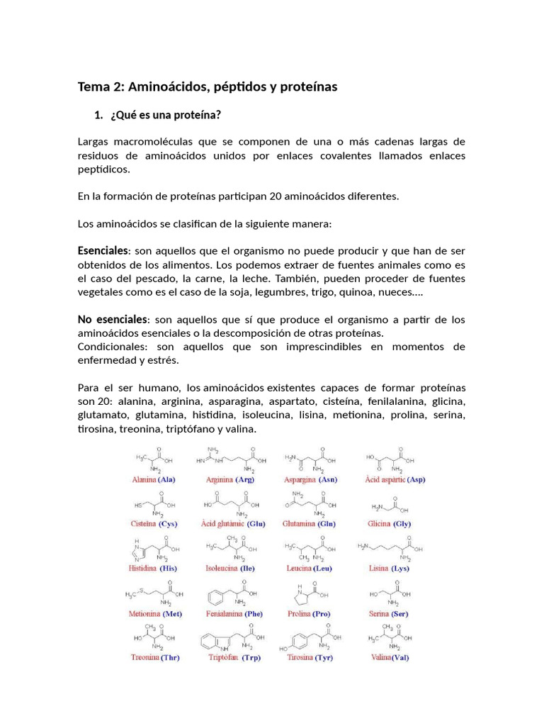 Tema 2 Bioq | PDF | Aminoácidos | Estructura proteica