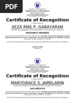 LAC Session Participation Certificate | PDF