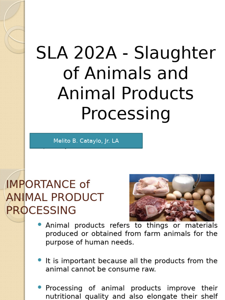 Importance of Meat Processing and Termimologies in Slautering | PDF ...