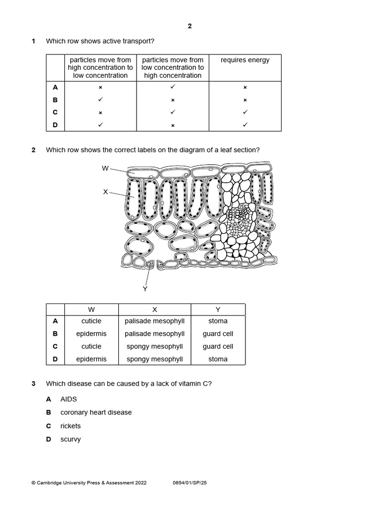 Double Science Paper FEB | PDF | Chemical Reactions | Sulfate